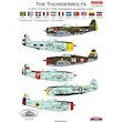 Armycast ACD48031 The Thunderbolts, P47D, F47D and F47N Thunderbo