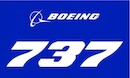 Boeing STICK 737 BLUE 737 Blue Sticker | AviationMegastore.com