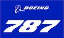 Boeing STICK 787 BLUE 787 Blue Sticker | AviationMegastore.com