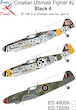 Exotic Decals ed48009 Croatian Ultimate Fighter #2 - Black 4 - Bf