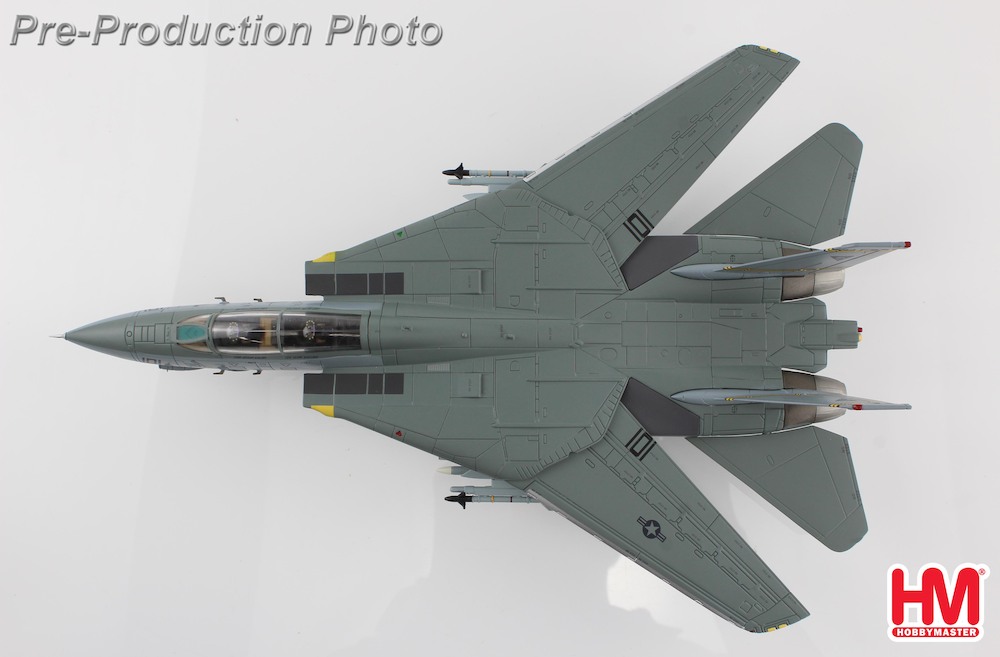 Hobbymaster HA5254 Grumman F14B Tomcat US Navy "Last Gypsy R