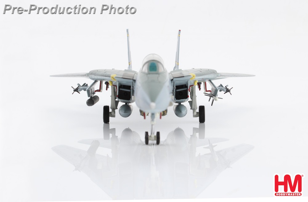 Hobbymaster HA5254 Grumman F14B Tomcat US Navy "Last Gypsy R