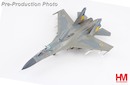 Hobbymaster HA6021 Sukhoi Su-27 Flanker "Compass Ghost Grey