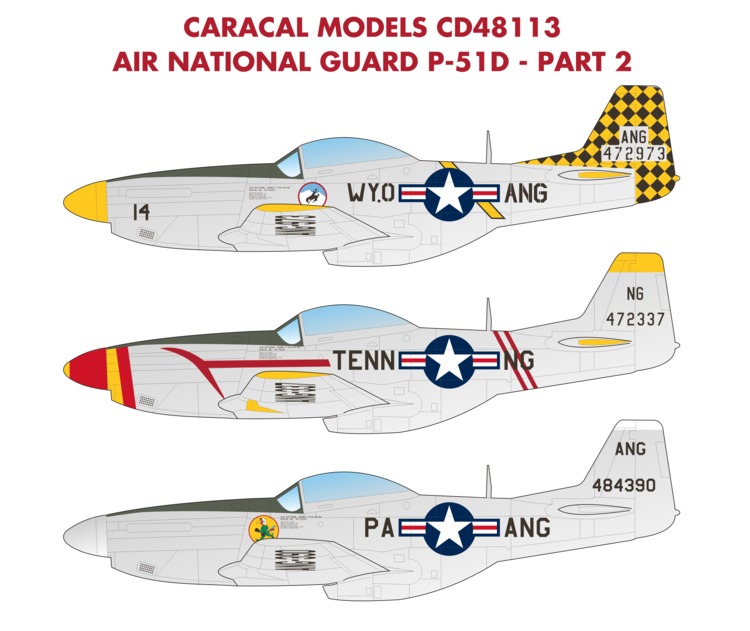 Air National Guard P 51d Mustang Part 2